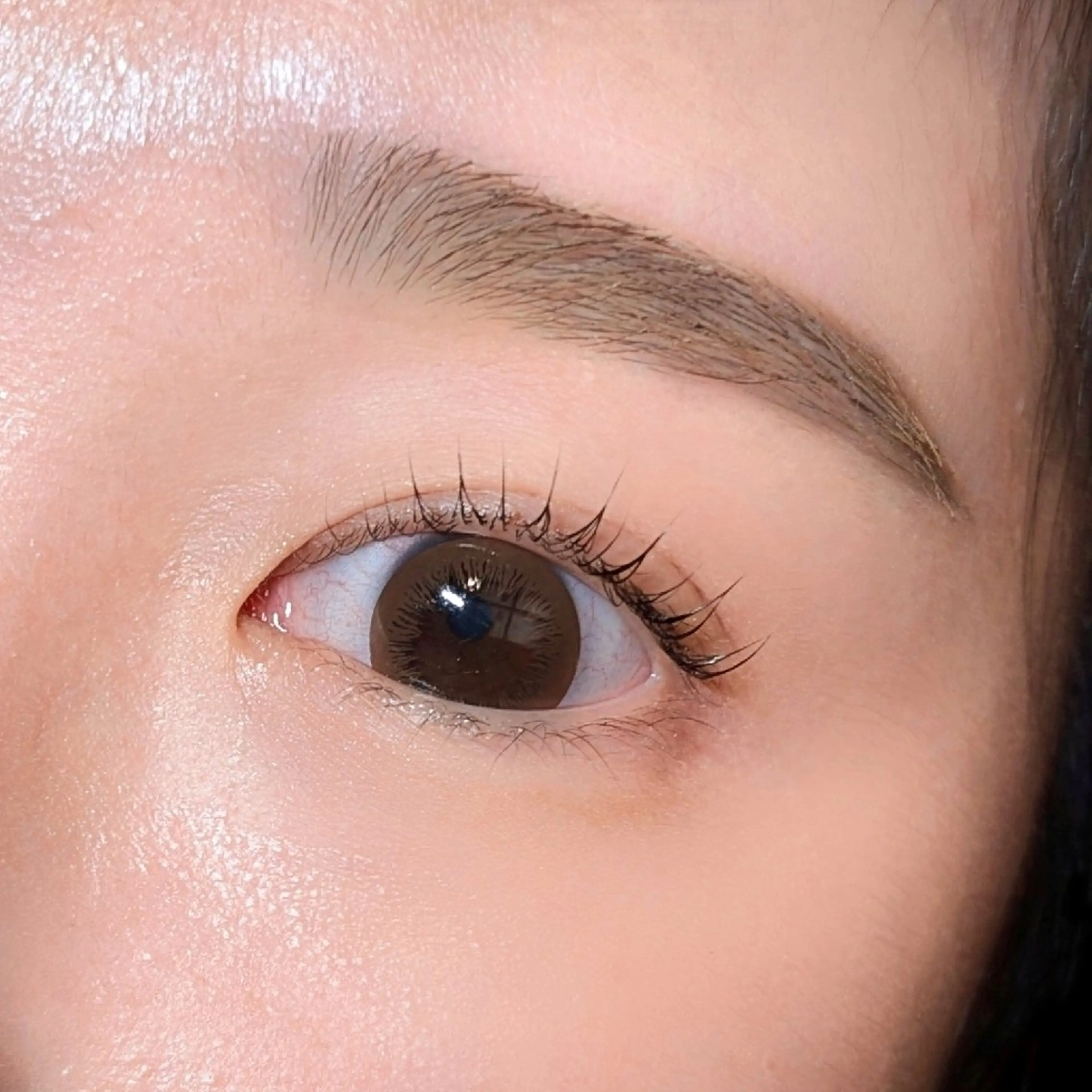 パリジェンヌラッシュリフト×アイブロウスタイリング𖧷.*･ﾟ｜SUGAWARA YUMI(アンジェリカミッシェル 仙台店所属)のマツエク ...