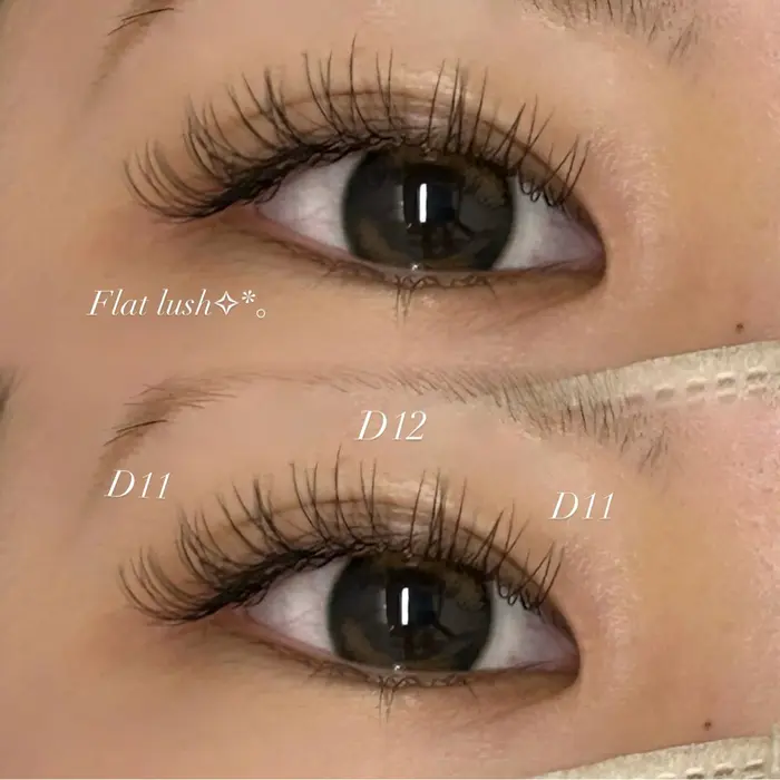 フラットラッシュ 100本 ︎*。 D11.D12.D11｜REVE ︎*。 yoshioka(eyelash ＆nail REVE所属)の ...