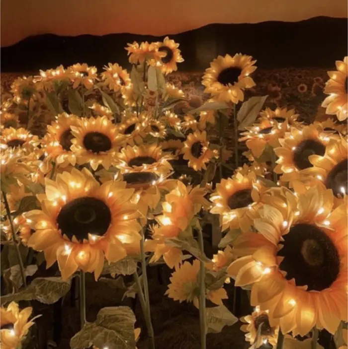 IWANO (ダイヤモンドアイズテクニカルスクール所属)のメニュー｜ミニモ