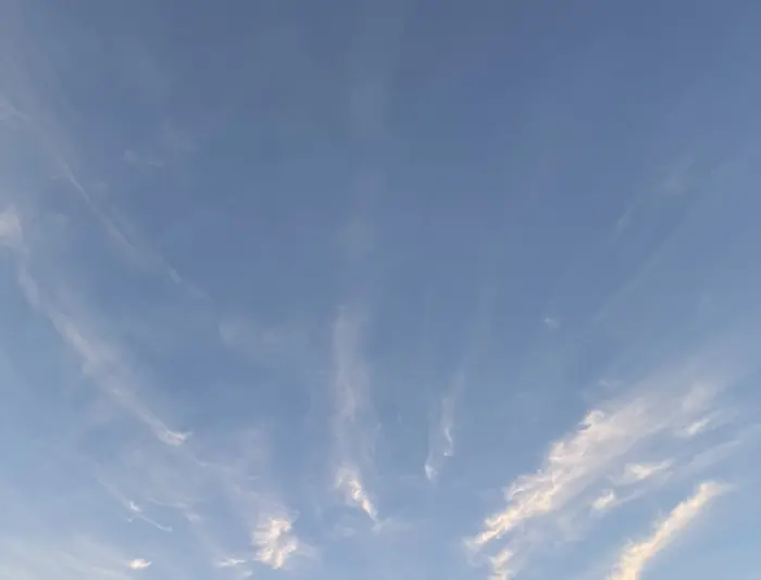 grandoll本店所属・葛城 咲羽のメニュー｜ミニモ