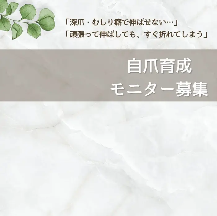 Tolano nailcareのメニュー｜ミニモ