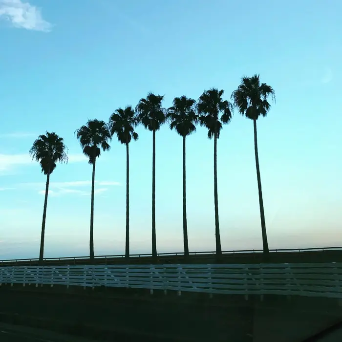 Sea nail by emaのネイルサロン・ネイリスト情報｜ミニモ