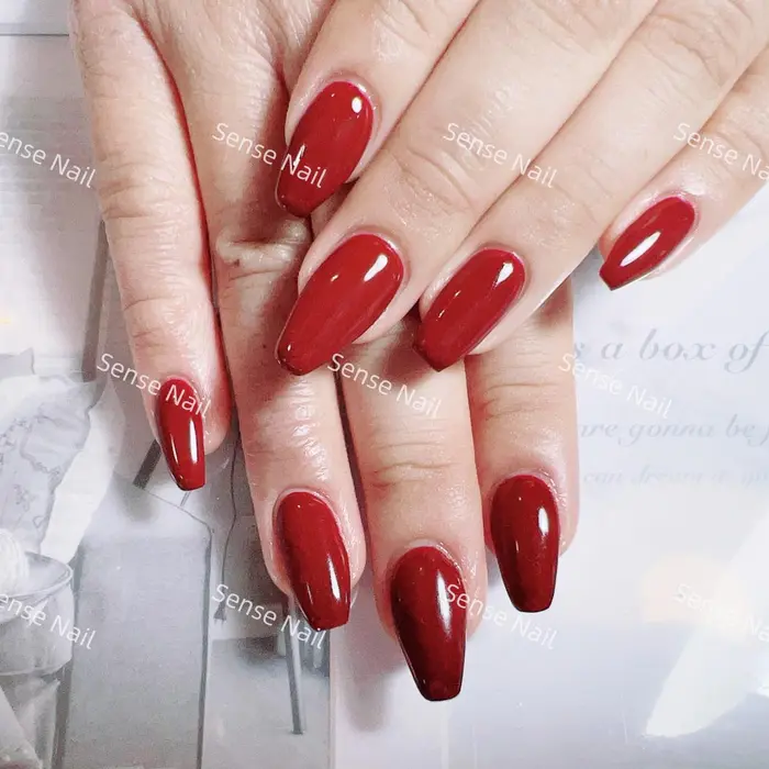 Mirakuru Neiru(Sense Nail渋谷店【センスネイル】所属)のネイルデザイン(20231107235638)｜ミニモ