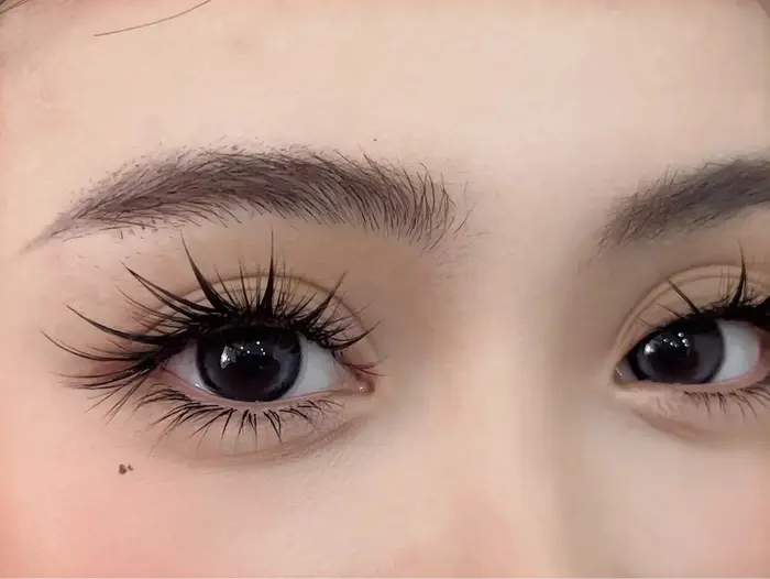 panda eyelash所属・panda eyelashのマツエクデザイン(20250416092303)｜ミニモ