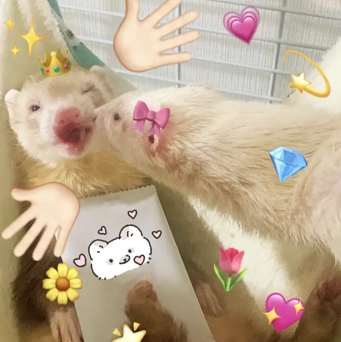ジ ニ(Rosella Nail Salon所属)のメニュー｜ミニモ